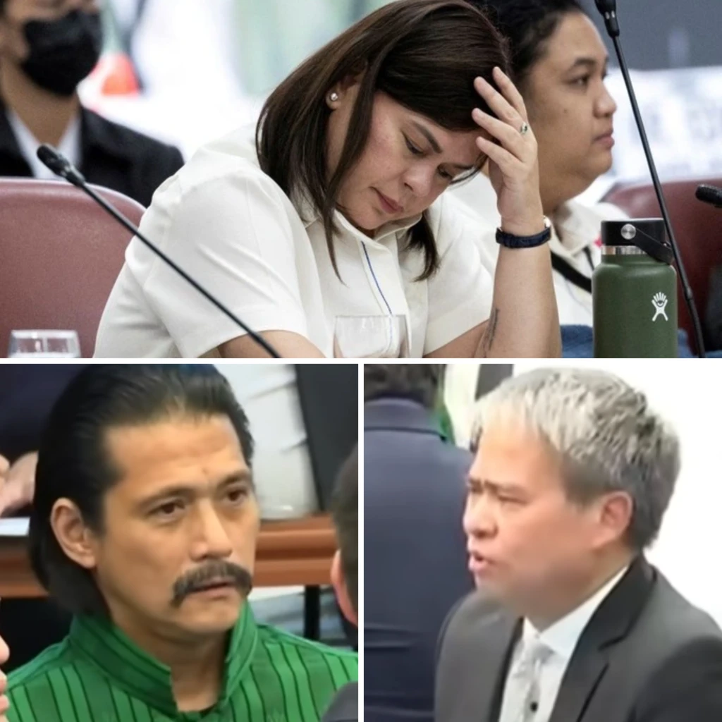 Matapos ibasura ng Mababang Kapulungan ang impeachment complaint laban kay Pangalawang Pangulo ...